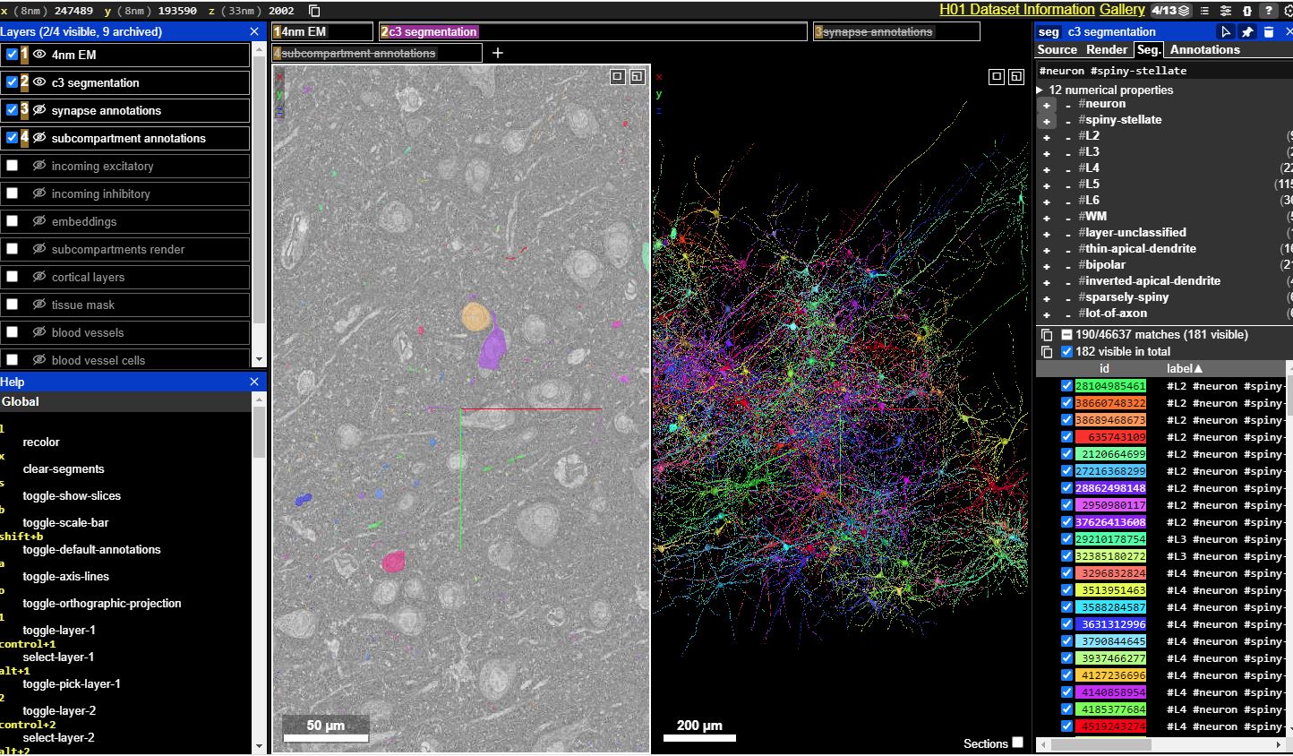 Como funciona: um mapa interativo que permite viajar pelo cérebro ...